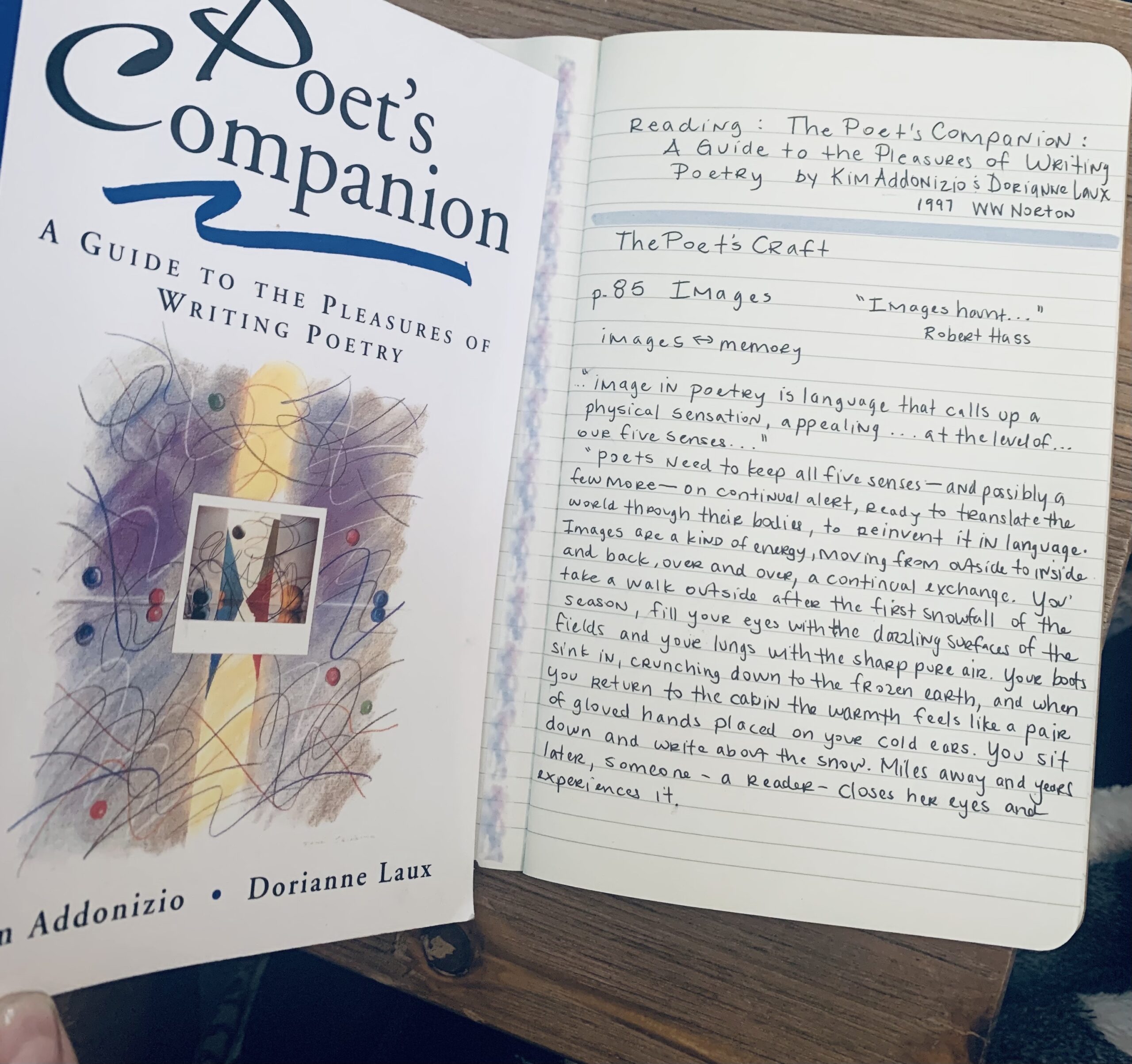 Book Club Conversation: The Poet’s Companion by Kim Addonizio and ...